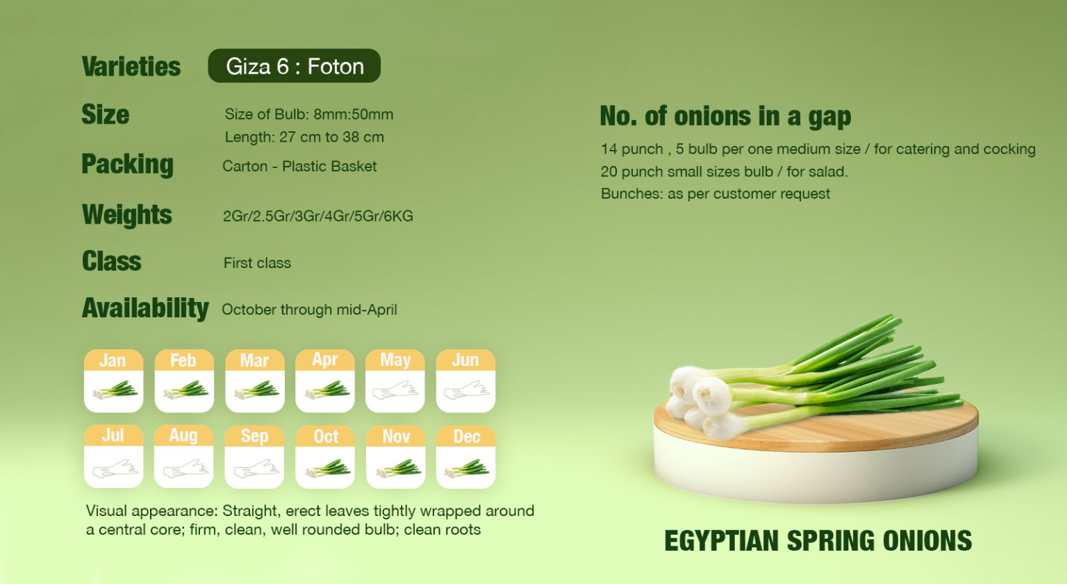 Onions | Spring Onions – agrn