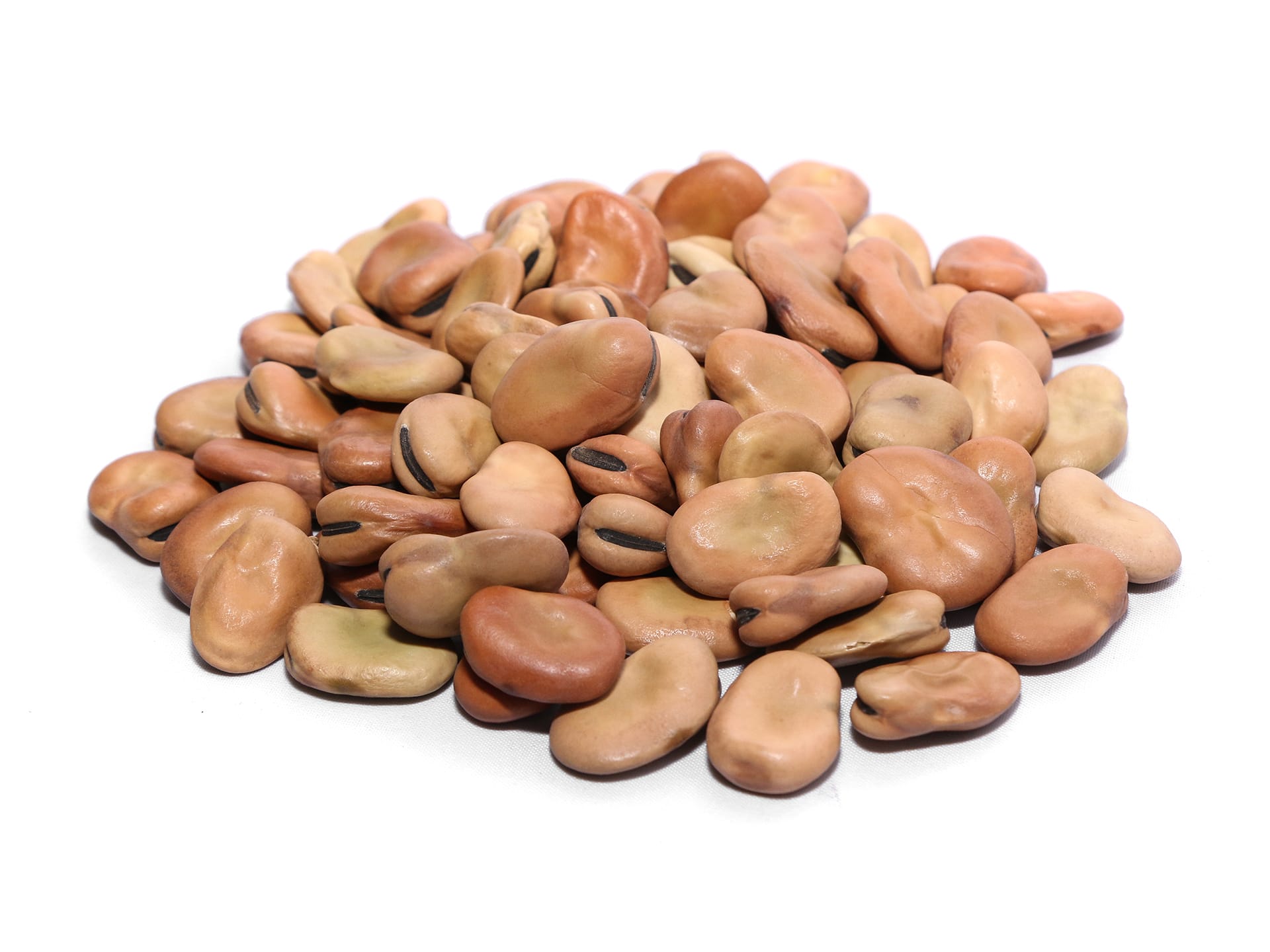 Whole Broad Beans – Agrn Core